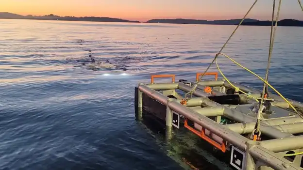 Australia approves green methanol solar plant in Port Augusta